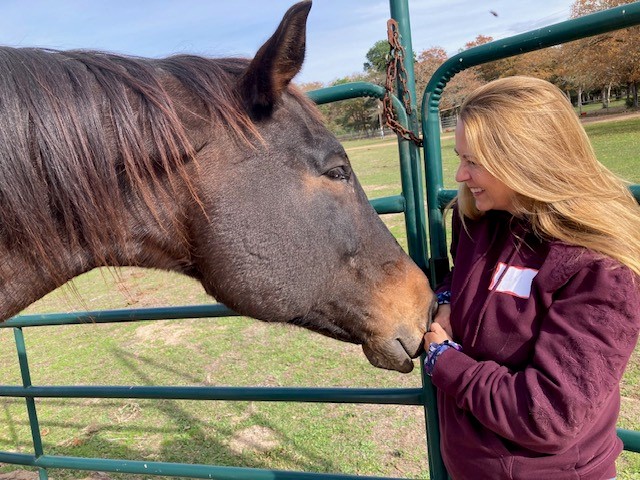 Horse Power: Insight and Connection – The HorseLink